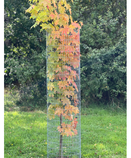 Weld Mesh Tree Guard (Galvanised)